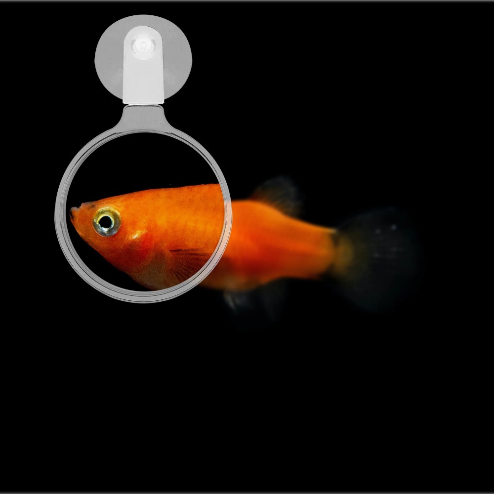 3pcs Durable Acrylic Aquarium Magnifying Glass Mini Portable Fish ...