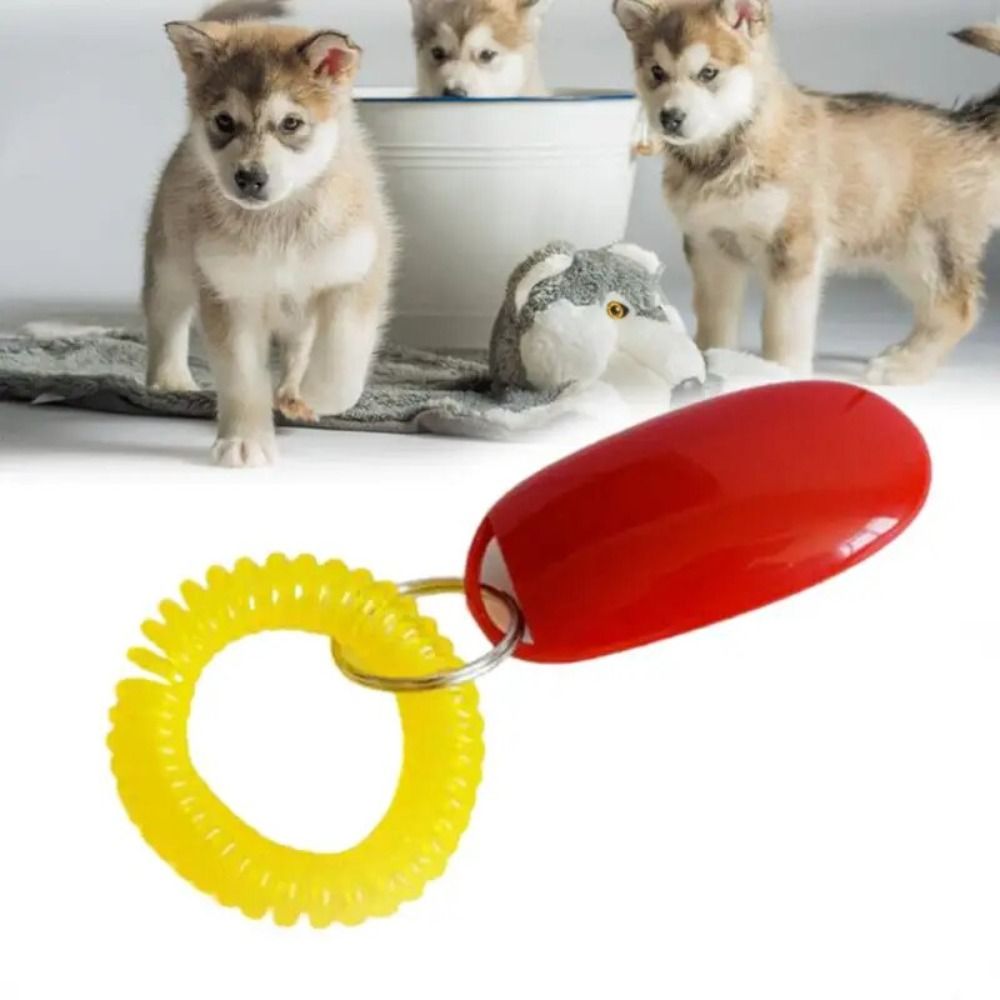 Pet Obedience Tranining Plastic Pet Tranining Clicker Multiple Colors ...