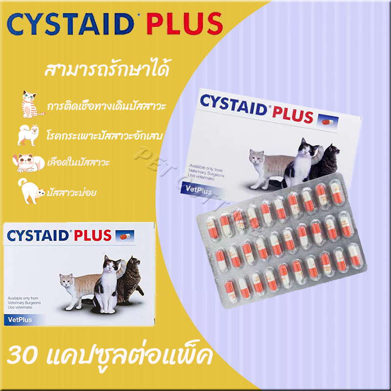 (EXP5/23) Cystaid อาหารเสริมโปรตีนสำหรับ แมวที่ฉี่ไม่ออกบ่อย มีปัญหา ...