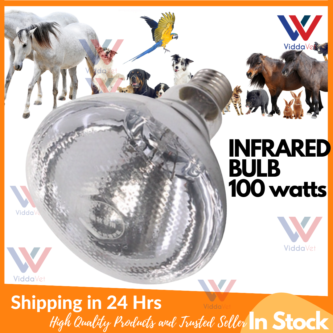 Infrared Heat Lamp Bulb 100 watts for Livestock pigs poultry goat ...