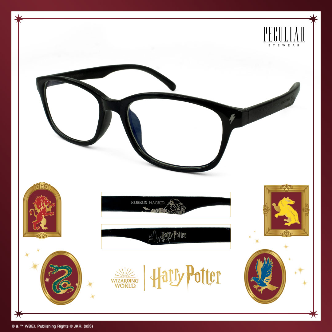 Peculiar Harry Potter Rubeus Hagrid Eyewear Collection | Lazada PH