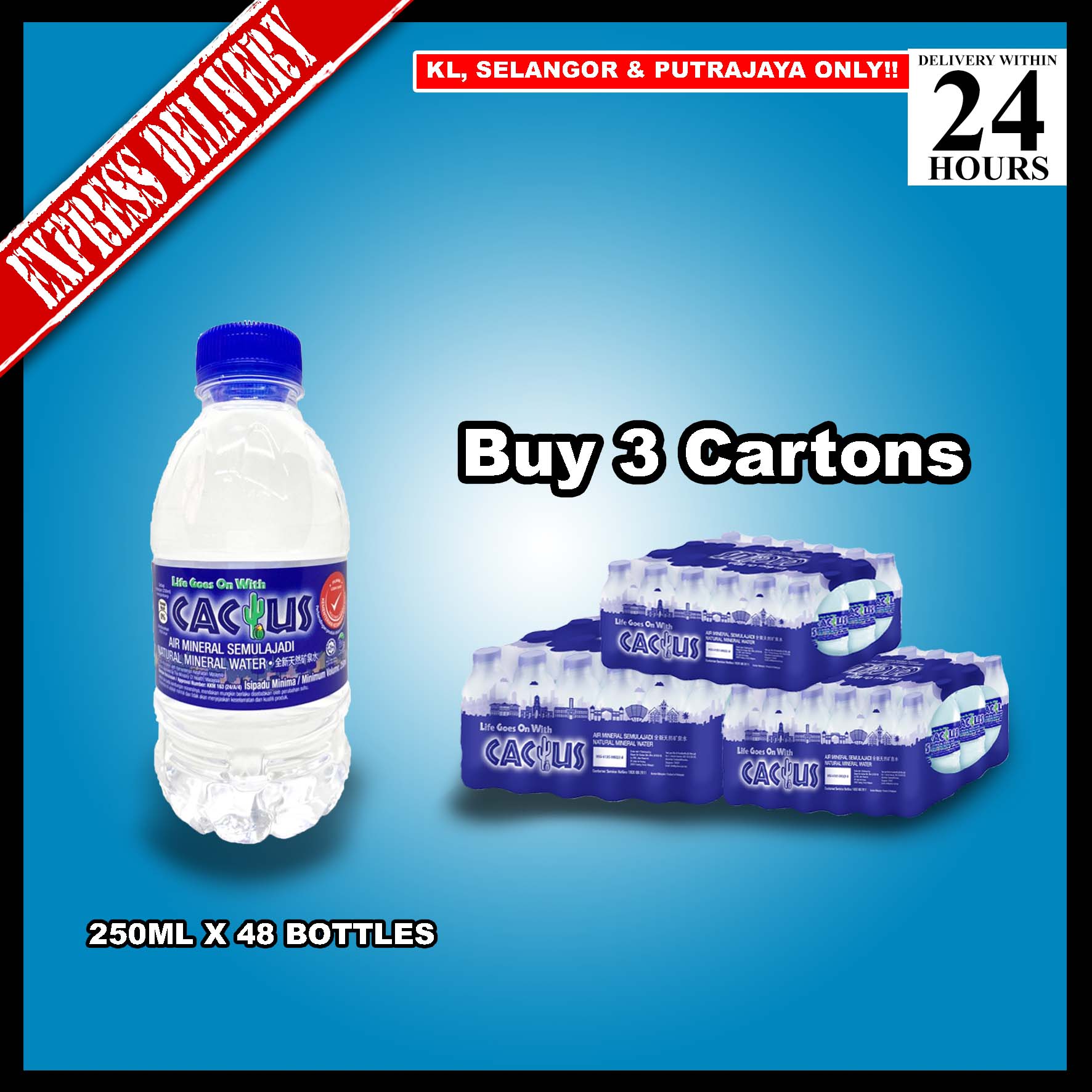 BUNDLE OF 3 CARTONS : CACTUS MINERAL WATER 250ML x 48 BOTTLES | Lazada
