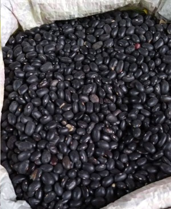 Black Sitaw Beans 500g | Lazada PH