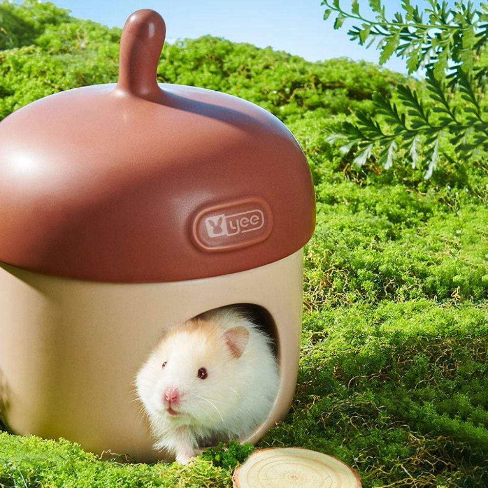 Rat Accessories Unique Acorn Hamster Ice Cage Decorative Cooling ...
