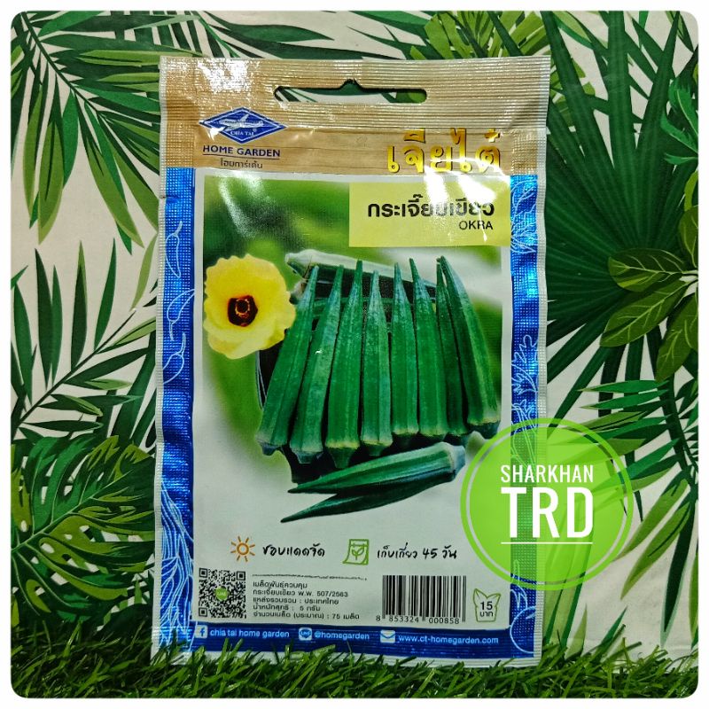 Paket 75 Biji (Seeds) OKRA Chia Home Garden Biji Benih Kacang Bendi ...