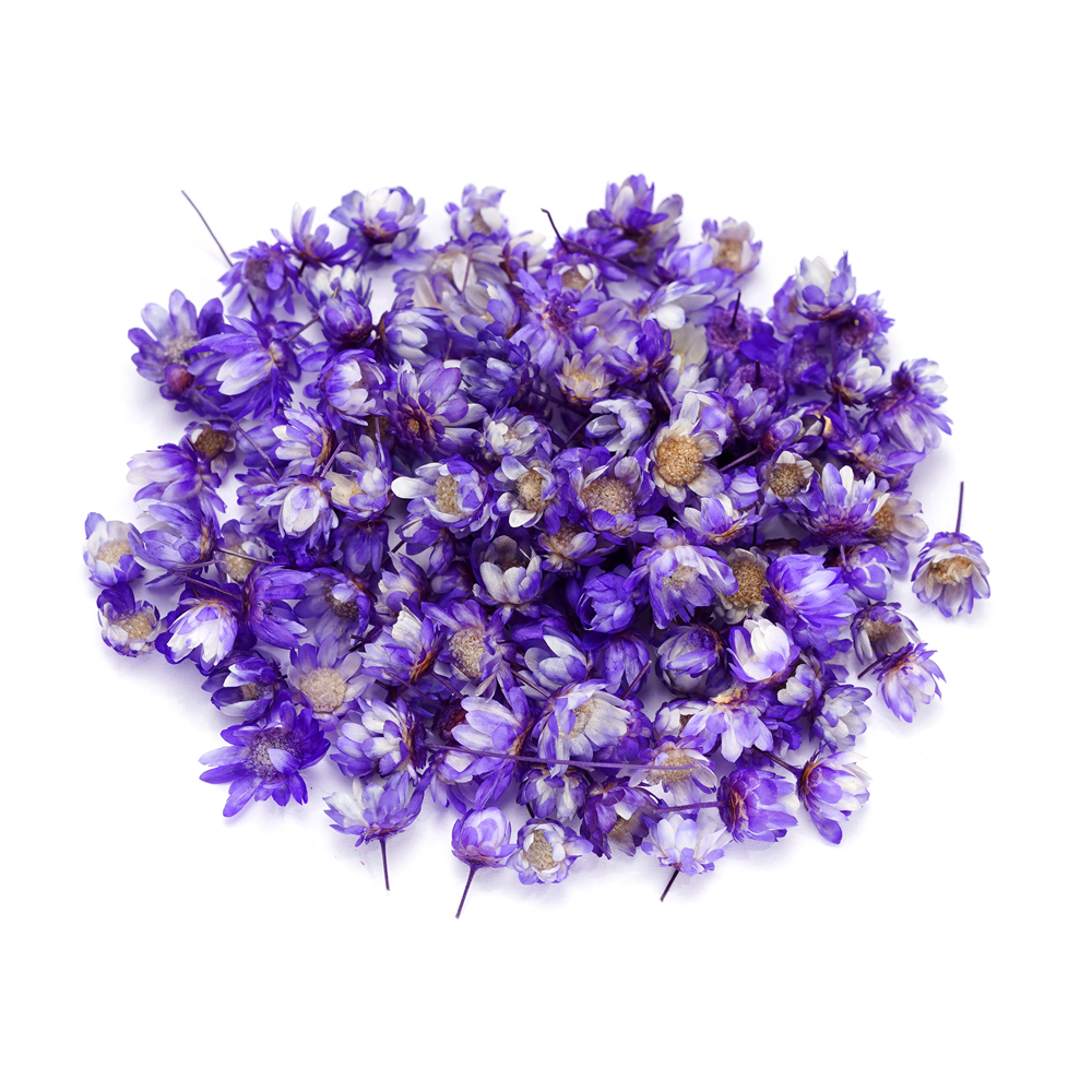 St.kunkka 1g/bag about 140pcs Colorful Dried Flower Head Flower Mini ...