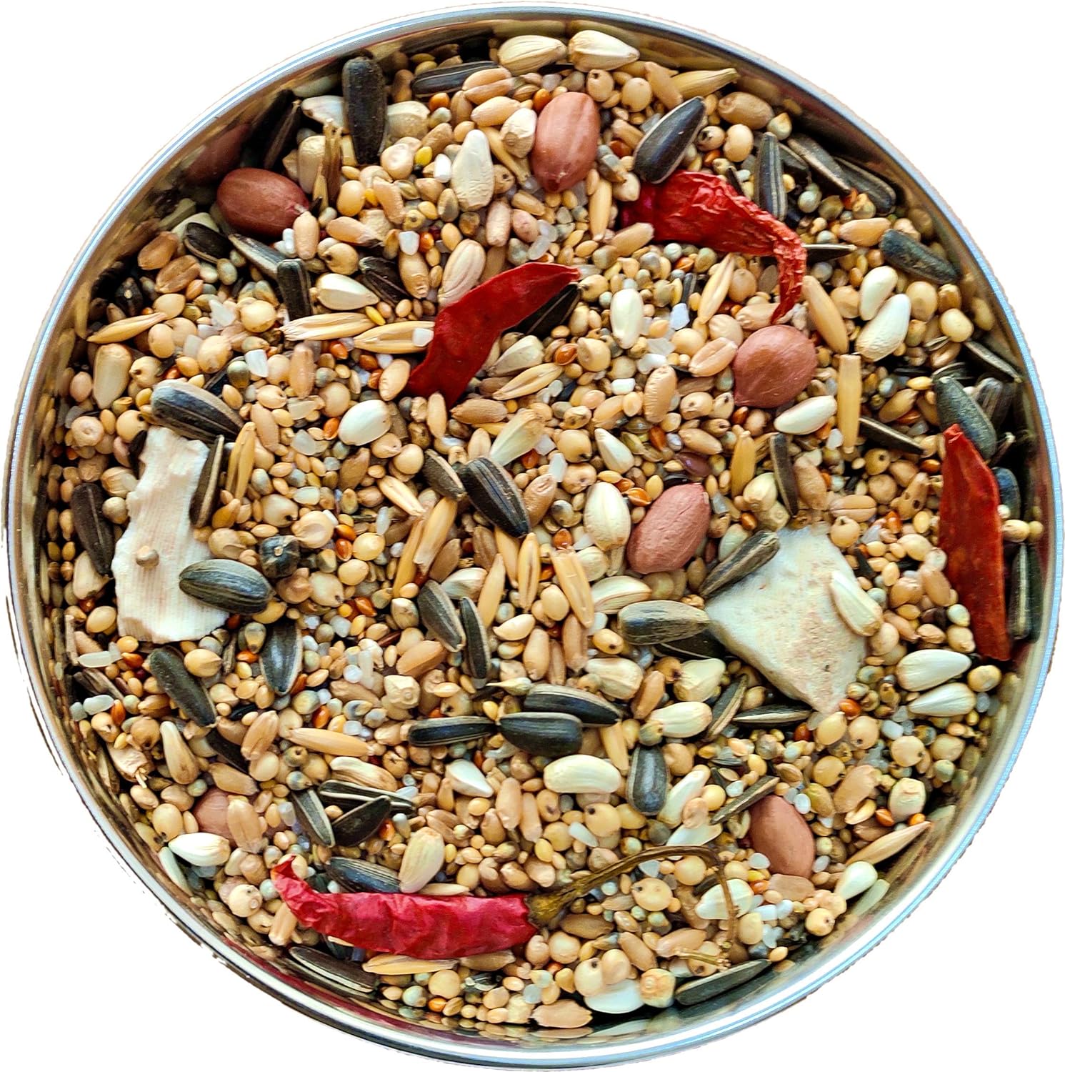 The Birds Company Premium Seed Blend of 9 Grains & Nuts, Fortified with ...