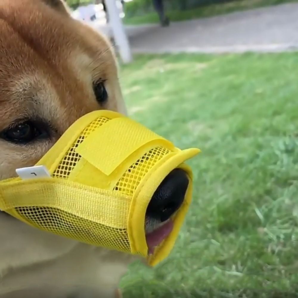Portable Anti Barking Dog Mouth Cover Adjustable Breathable Dog Muzzle ...