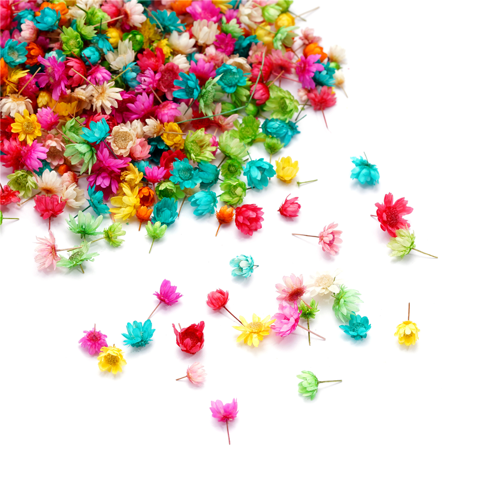St.kunkka 1g/bag about 140pcs Colorful Dried Flower Head Flower Mini ...