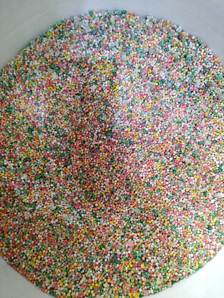 Colored Sago Small 250g | Lazada PH