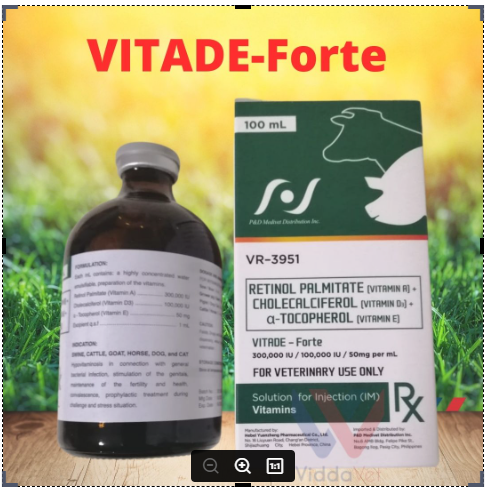 100 ML Vitade Forte Solution for I.njection Vitamins A, D, E for ...