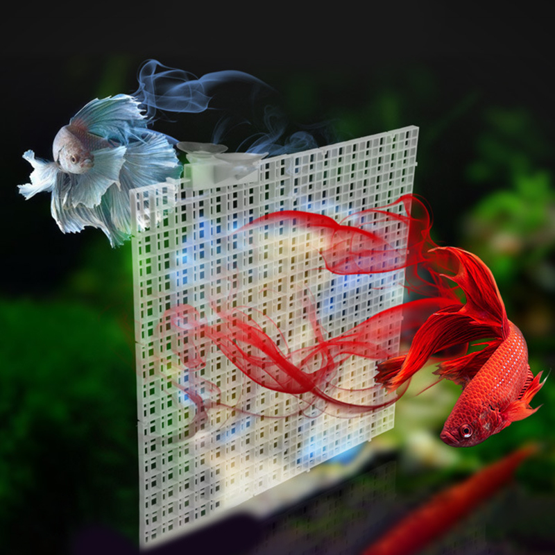 Fish Tank Isolation Plate Bottom Filter Grid Bottom Filter Plate ...