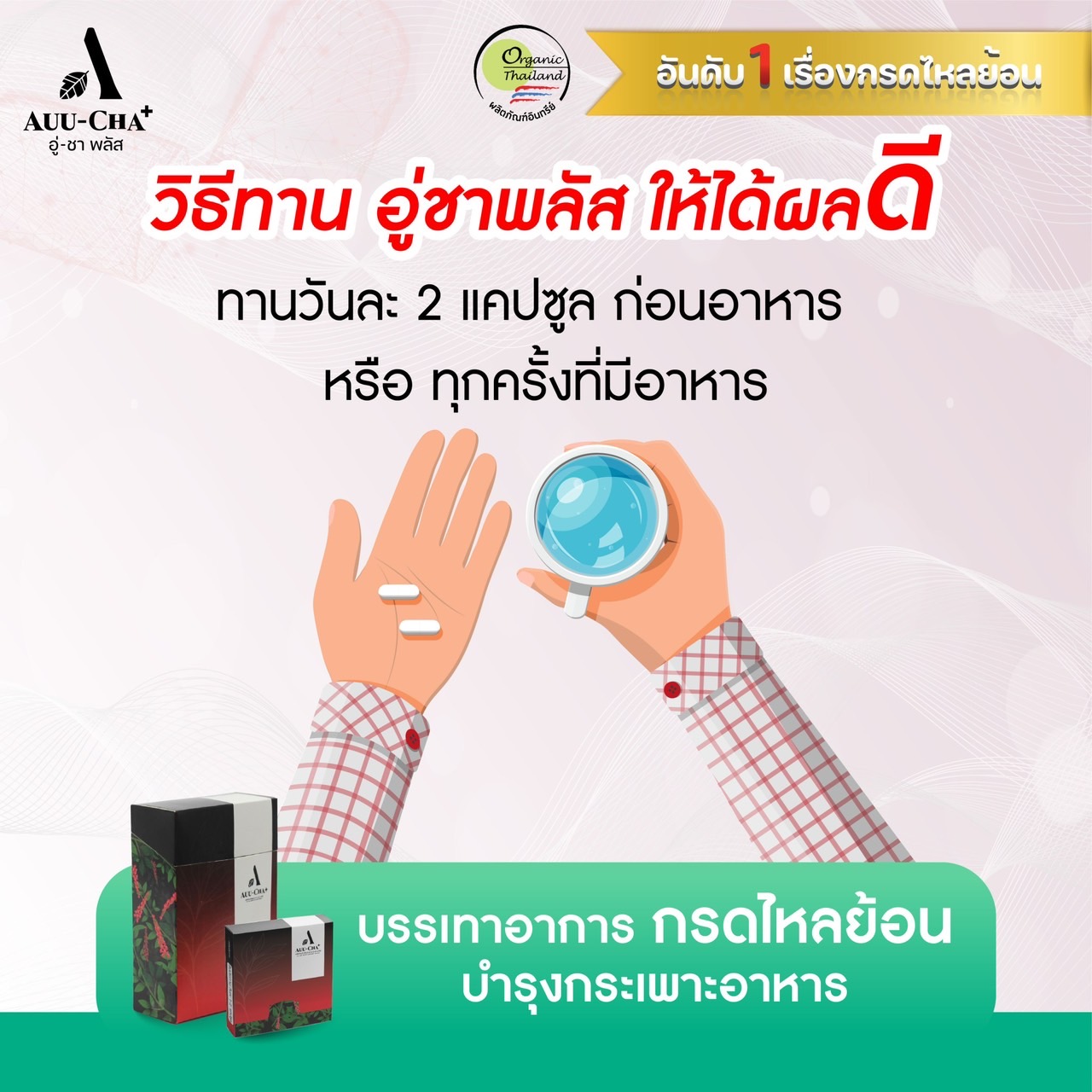 Auu-Cha+ อู่ชาพลัส สมุนไพรแก้กรดไหลย้อน สมุนไพรกรดไหลย้อน สมุนไพรบรรเทา ...