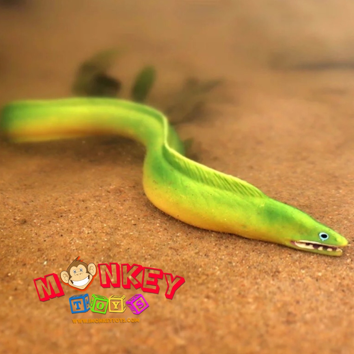Monkey Toys - Eel Moray ปลาไหล ขนาด 14.50 CM (จากหาดใหญ่) - Monkey Toy ...