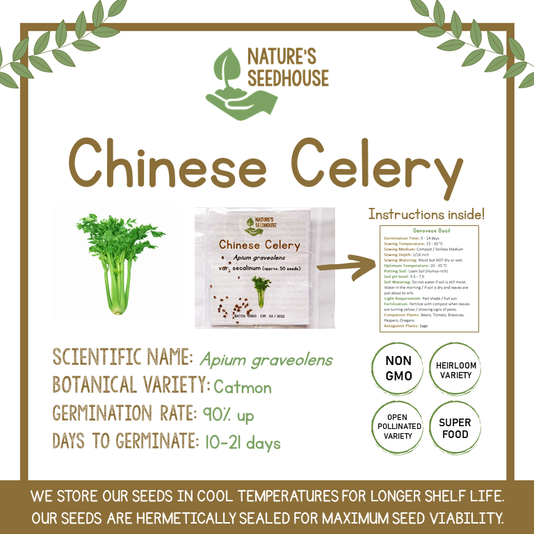 Chinese Celery • Kinchay Seeds • Kintsay Seeds • Vegetable Seeds ...