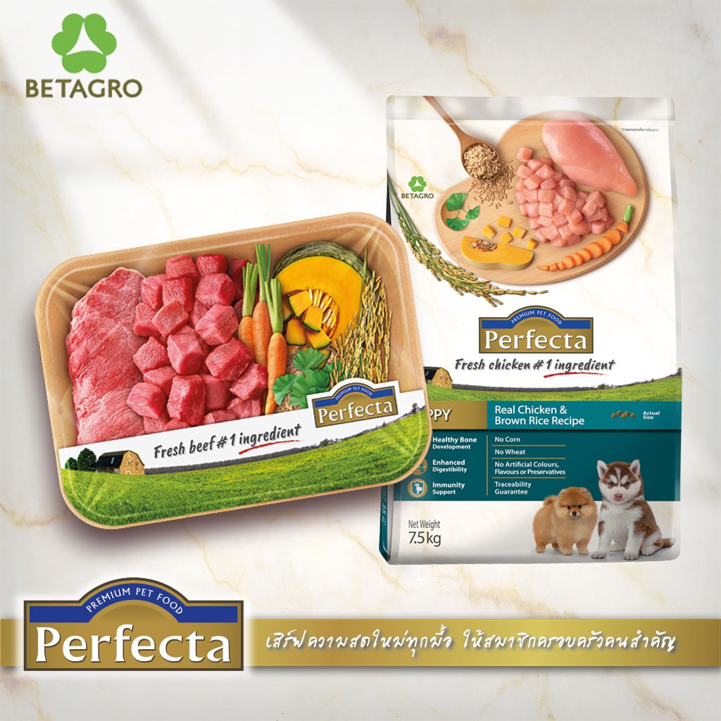 [1ถุง]Perfecta Premiun Dog Food 1 kg/เพอร์เฟคต้าอาหารลูกสุนัข และรสุนัข ...