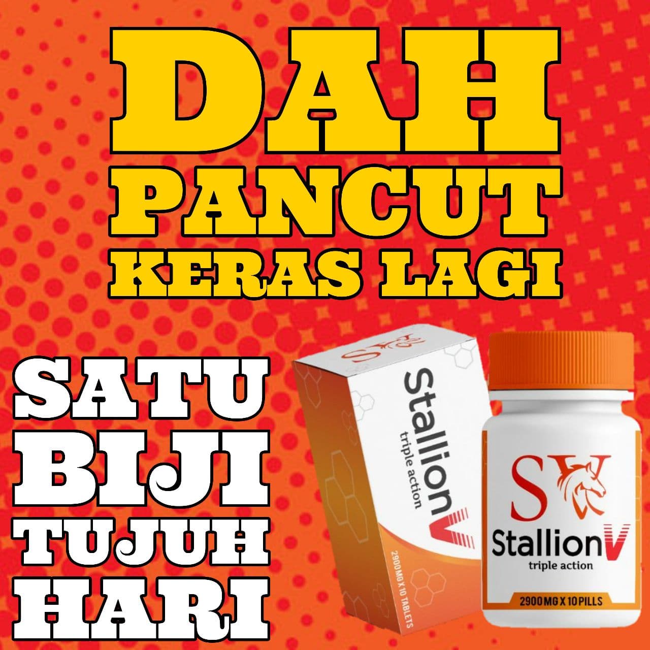 OVER SET COMBO.I+CAPSULE STALLION | Lazada