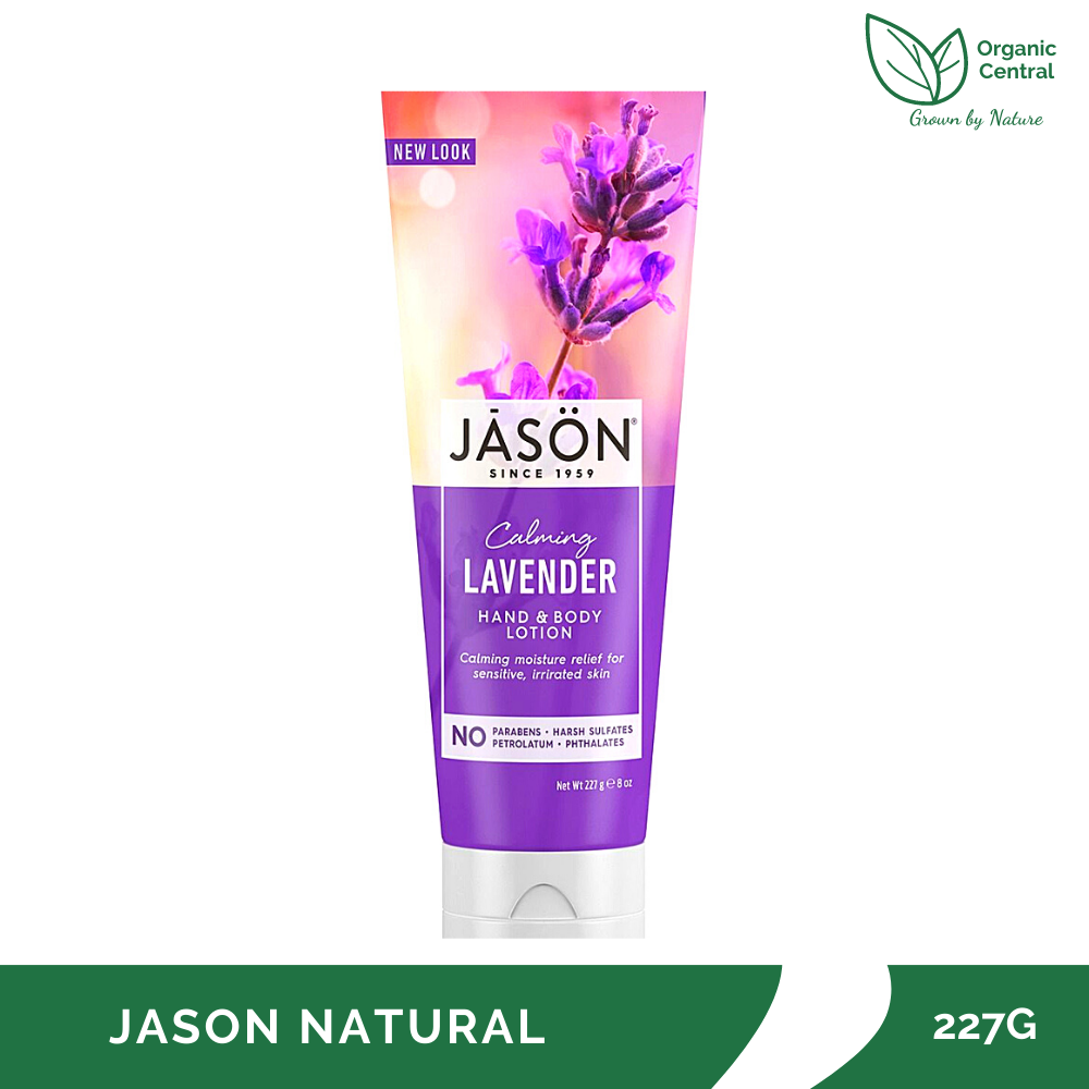 JASON Lavender Body Lotion 227g | Lazada PH