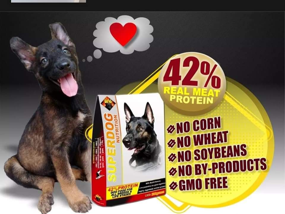 super-dog-food-nutrition-lazada-ph