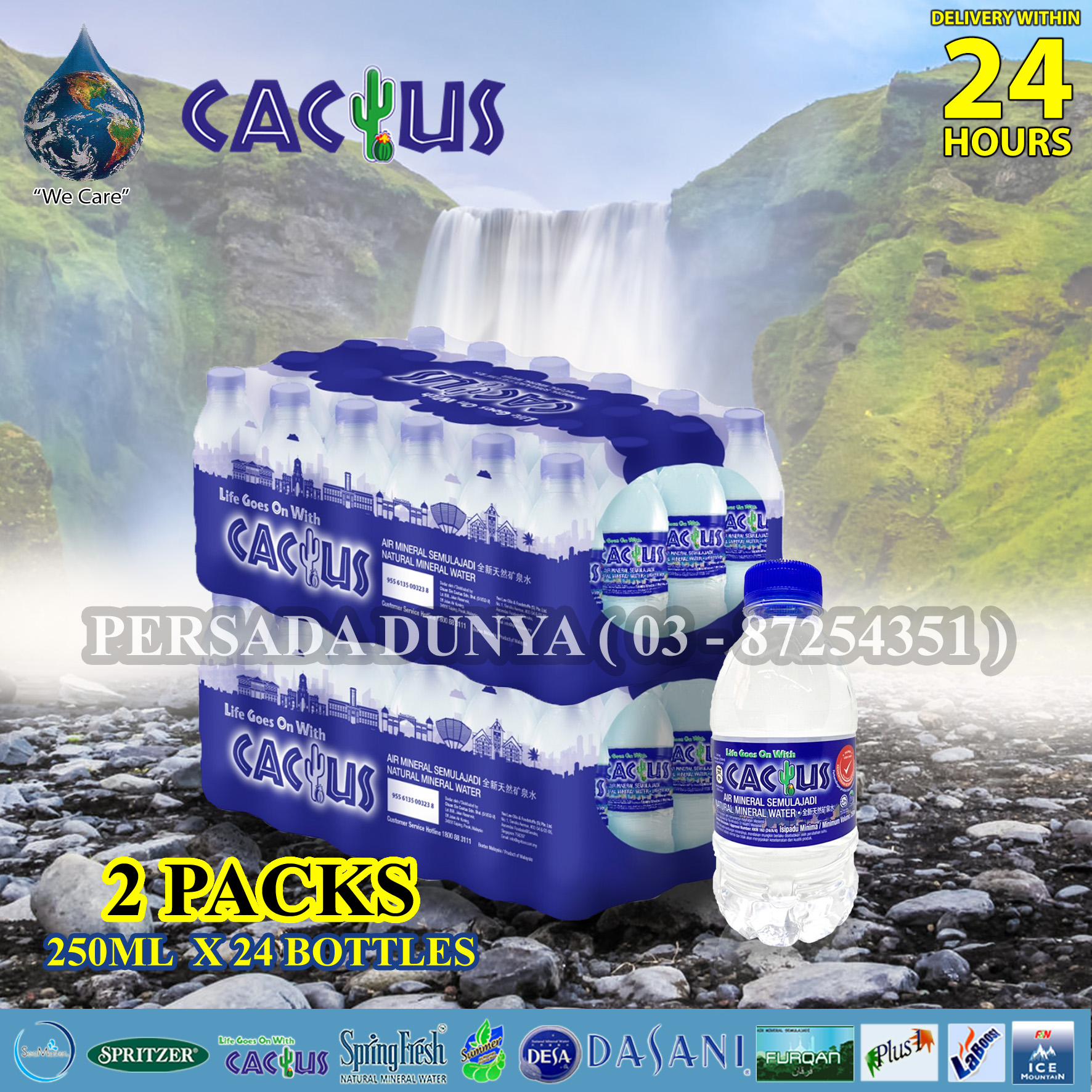 CACTUS Mineral Water (250ml x 24 Bottles x 2 Packs) | Lazada