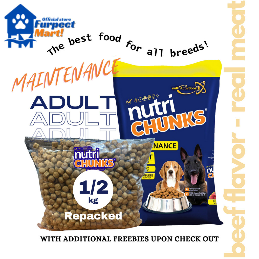 Nutri Chunks Maintenance Beef Flavor Adult for all breeds Dry Food ...