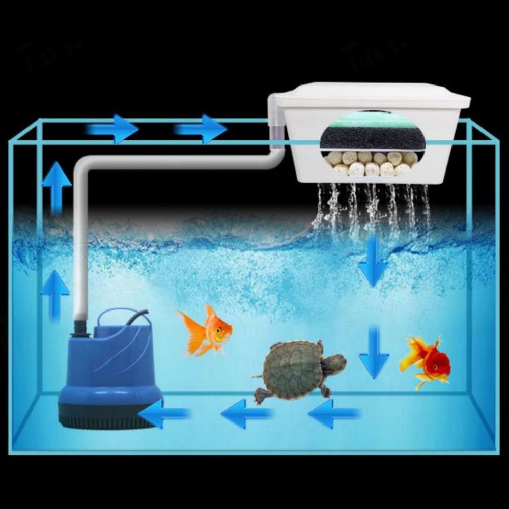 Practical Wall Mounted Hanging Filter Box Removable Water Circulation ...