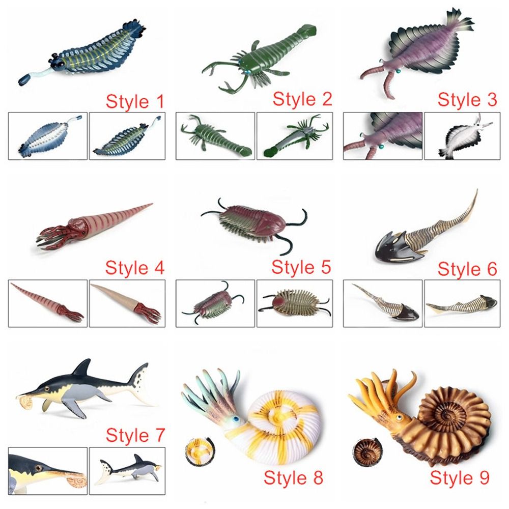 Cephalaspis Prehistoric Ocean Animal Figure Simulation Nautilus Marine ...
