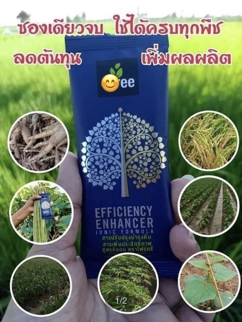 4Tree สารเสริมประสิทธิภาพพืช - เกษตรกรออนไลน์สมัยใหม่ - ThaiPick