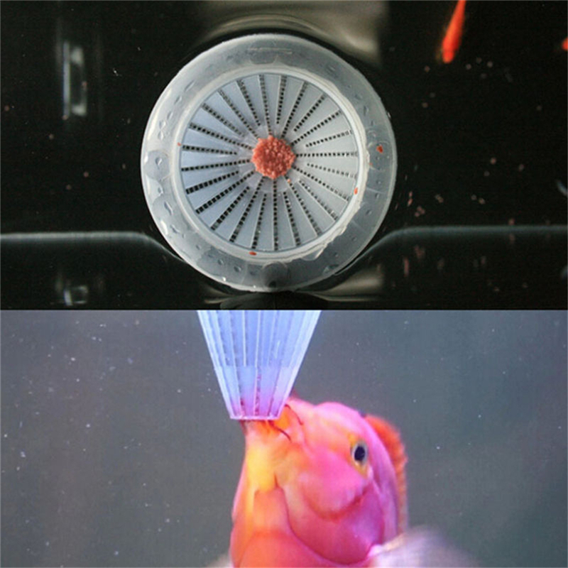 4pcs Aquarium Red Worm Feeder Cone Feeding for Fish Tank Angel Fish ...