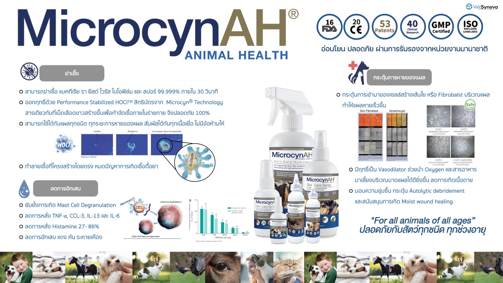 Microcyn AH Wound & Skin care spray 59 ml Exp.8/2024 สเปรย์ฆ่าเชื้อ ลด ...