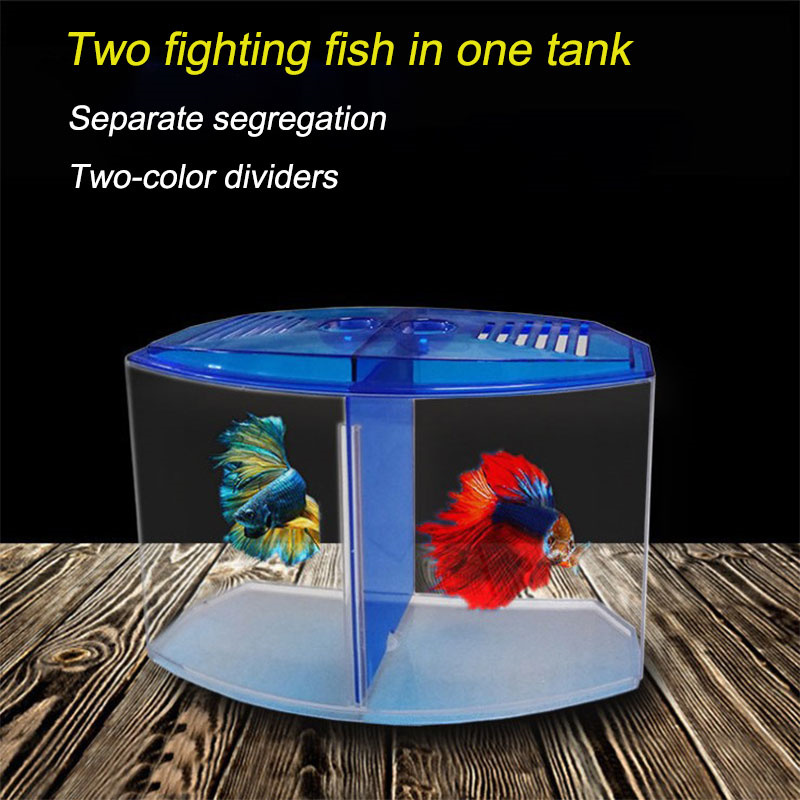Large Double Compartment Fighting Fish Box Eco Rumble Fish Aquarium ...