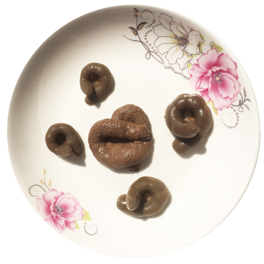 Realistic Gross Poo Waste Turd Pooper Model Toy Prank Trick Props New ...