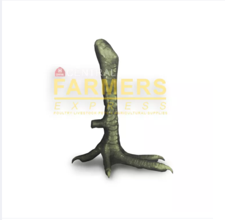 Chicken Dummy Feet Gaffing Shank ORIGINAL | Lazada PH