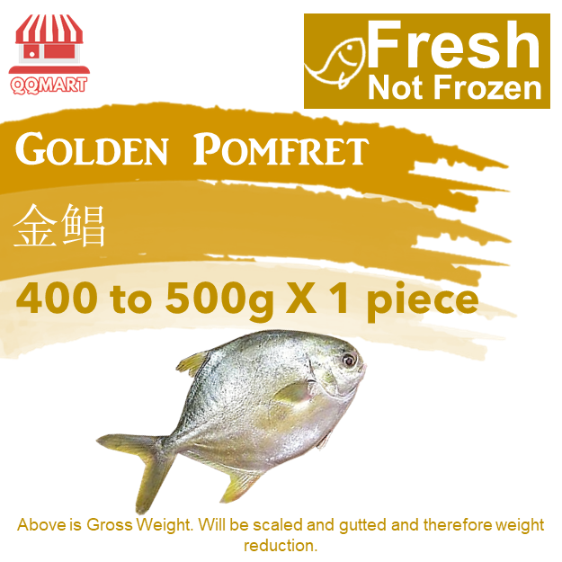 QQMart Fresh Seafood (Not Frozen) - Fresh Golden Pomfret (Whole Fish ...