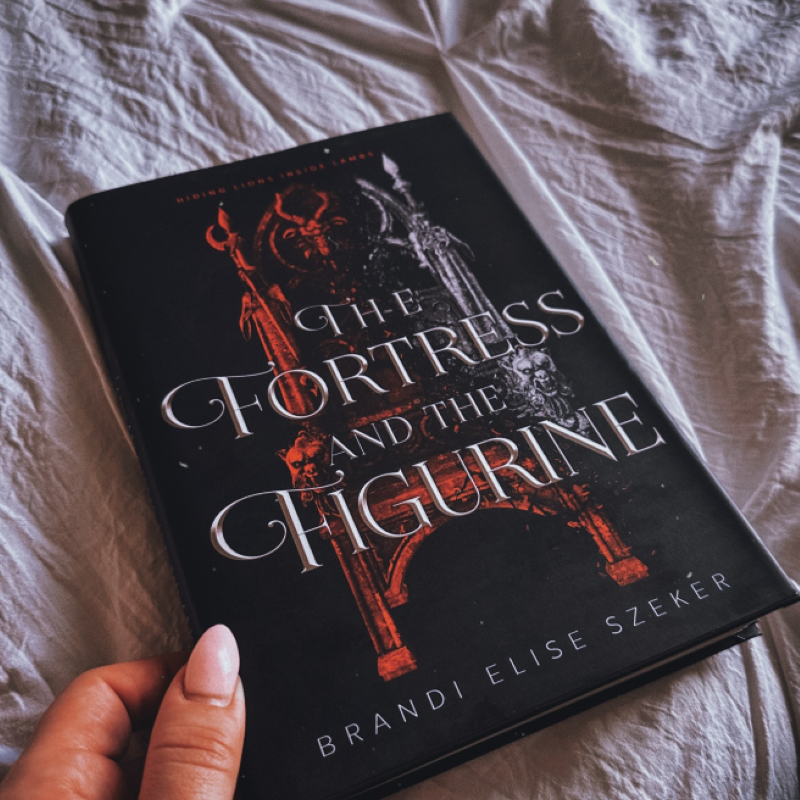 The Fortress and The Figurine ( The Pawn and The Puppet ) ( Book by ...