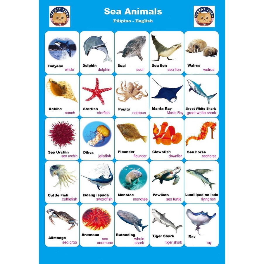 5842cm Filipino - English Educational Wall Charts for Kids Learning ...