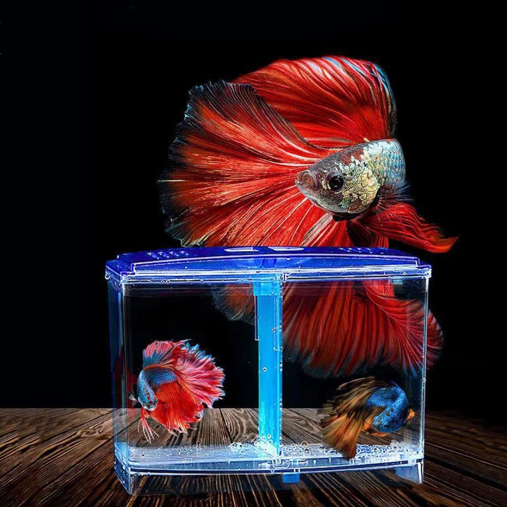Fish House Transparent Betta Fish Single/Double Grid with Water Grass ...