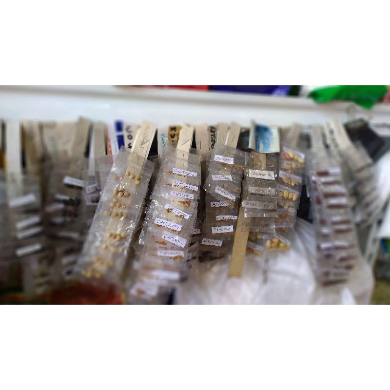 2nd Seeds / Buto ng GULAY, PRUTAS, HALAMAN (vegetables or fruits) Part ...