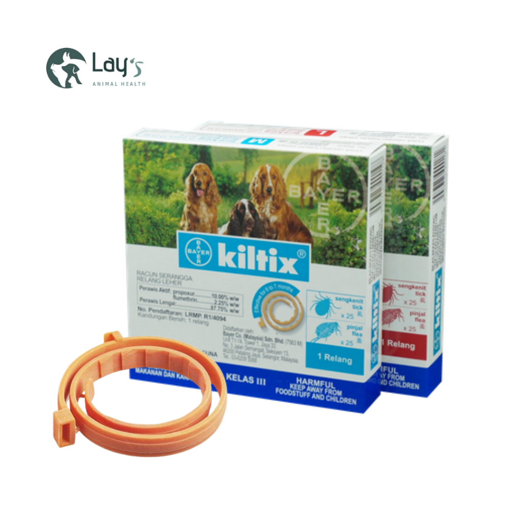 Bayer - Kiltix Collar Dog Anti Fleas & Ticks (1 piece) | Lazada