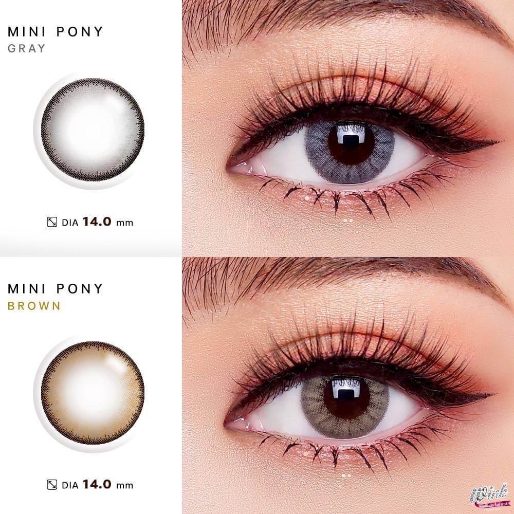 คอนแทคเลนส์ Wink Lens Mini Pony(Gray,Brown,Blue,Black) ค่าสายตา 0.00 ...