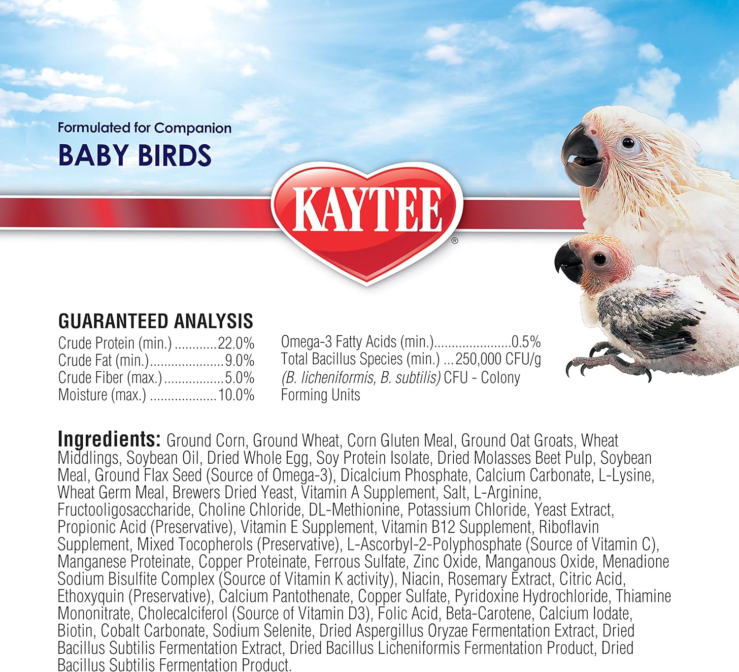Kaytee Exact Hand Feeding Formula Parrot 500gm | Daraz.pk