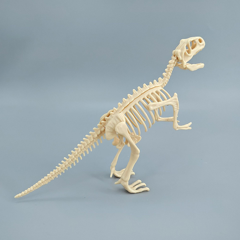 1 Set Kid Toy DIY Assembly Jurassic Dinosaur Fossil Skeleton Mosasaurus ...