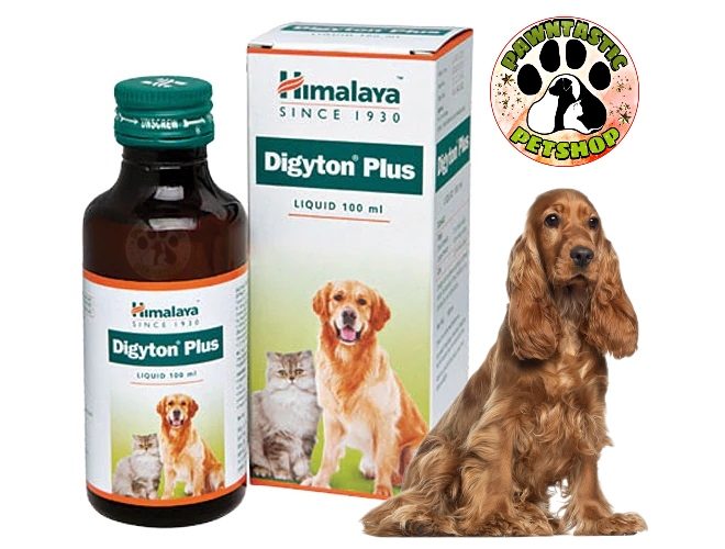 Himalaya Digyton Plus 100mL | Lazada PH