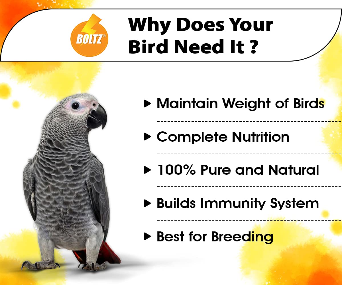 Boltz Parrot Food 1Kg for Big Parrot,African Grey Parrot,Sun Conure ...