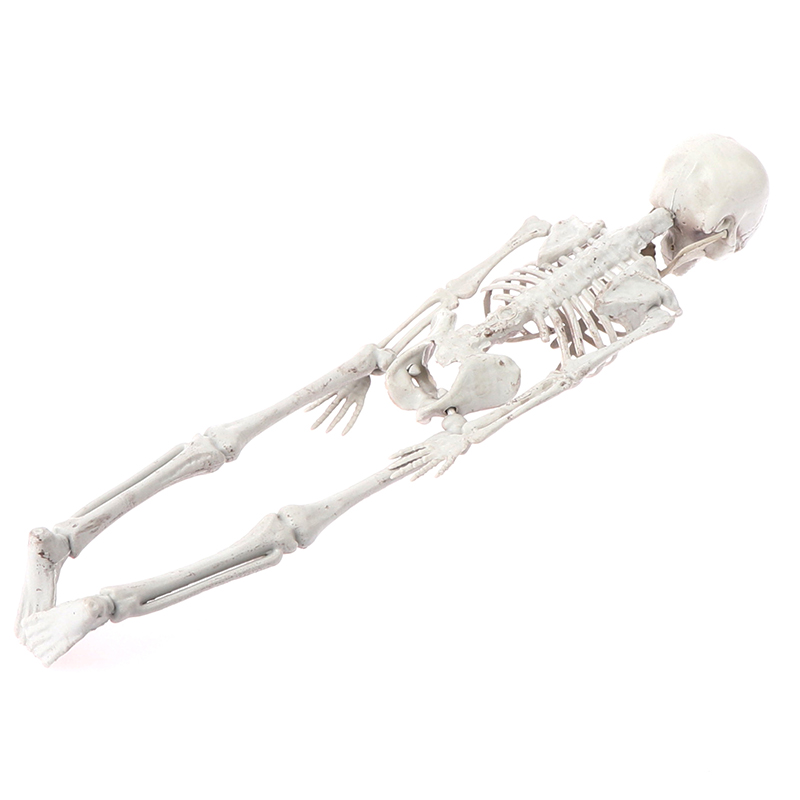 【HOT】 40Cm Halloween Tricky Props Horror Skeleton Skeleton Scene ...