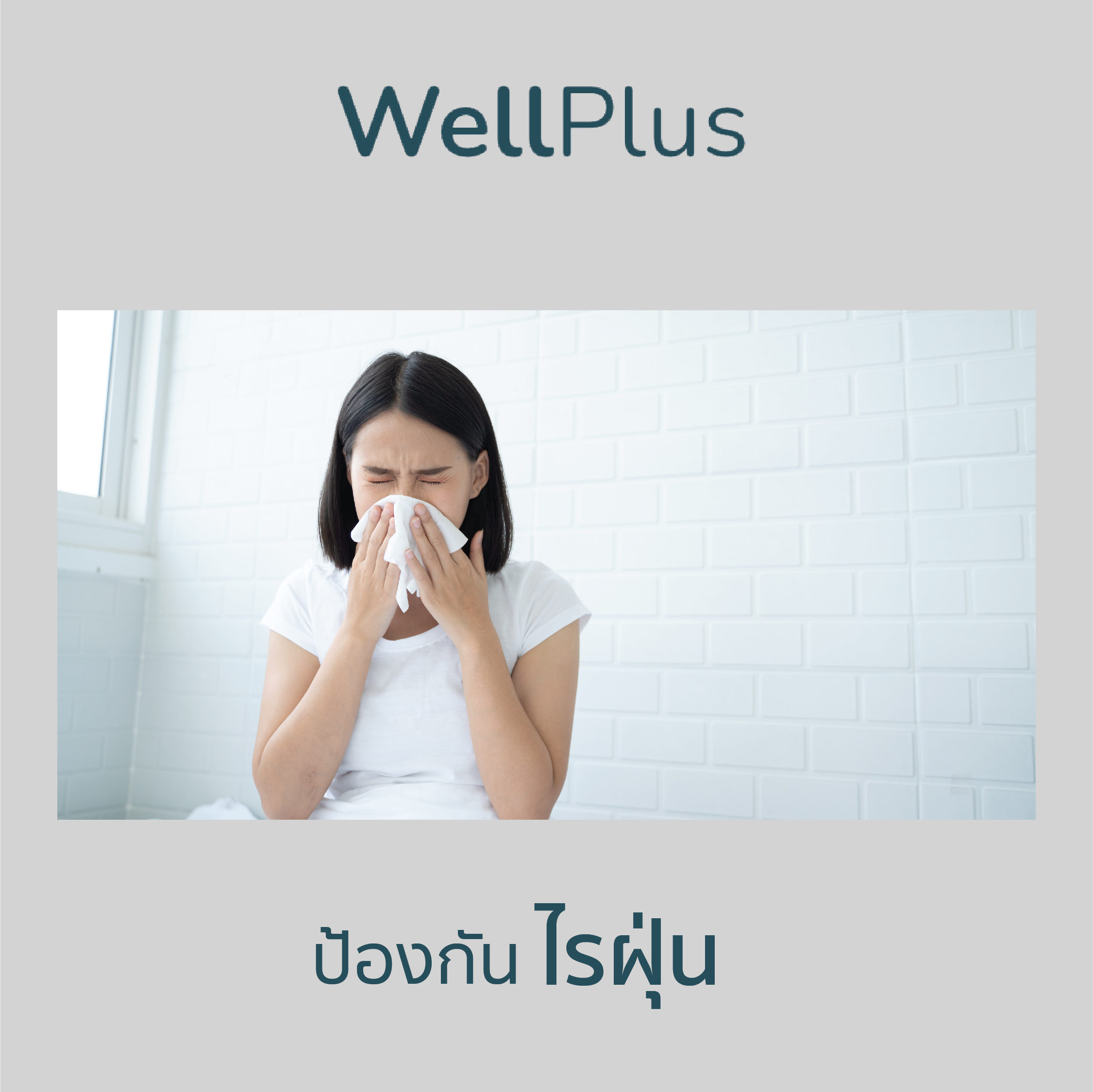 WellPlus [ส่งฟรี] ที่นอนยางพารา 3นิ้ว Topper Snow ท็อปเปอร์ ทอปเปอร์ ...