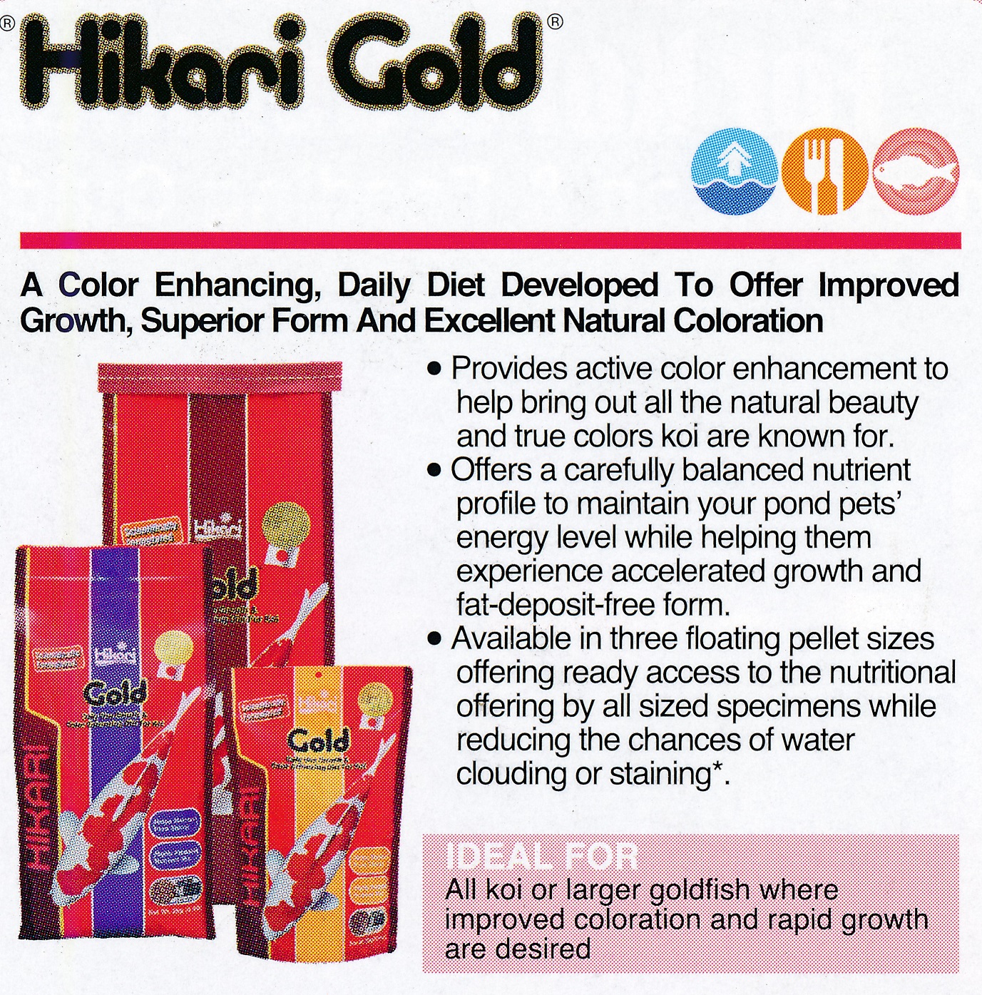Hikari Gold Color-Enhancing Diet For Koi 500g size S... Best for ...