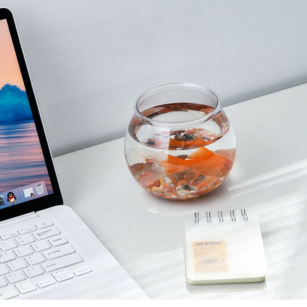 Good View Clear Transparent Round Fish Plastic Small Fish Bowl creative ...