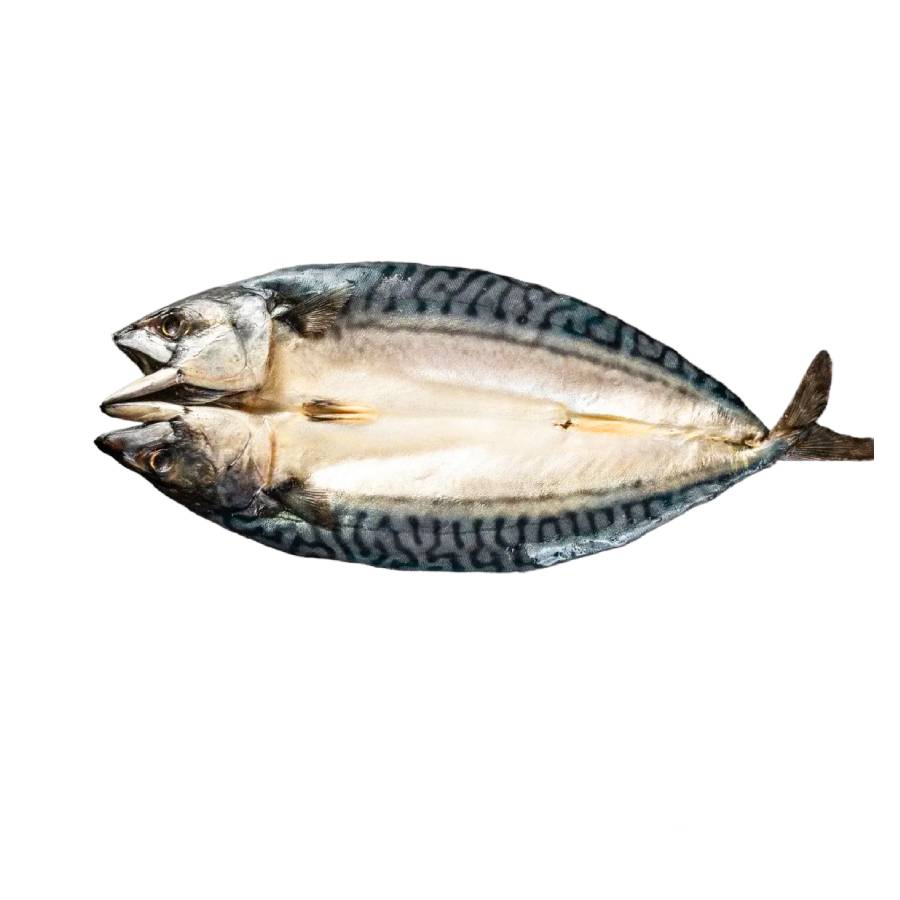 Frozen Lightly Salted Korean Mackerel "Godeungeo-Gui" 1pc (350-400g ...