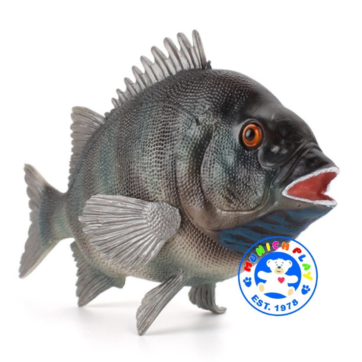 Munich Play - ปลากระพงหิน Snapper Fish ขนาด 17.00 CM (จากหาดใหญ่ ...
